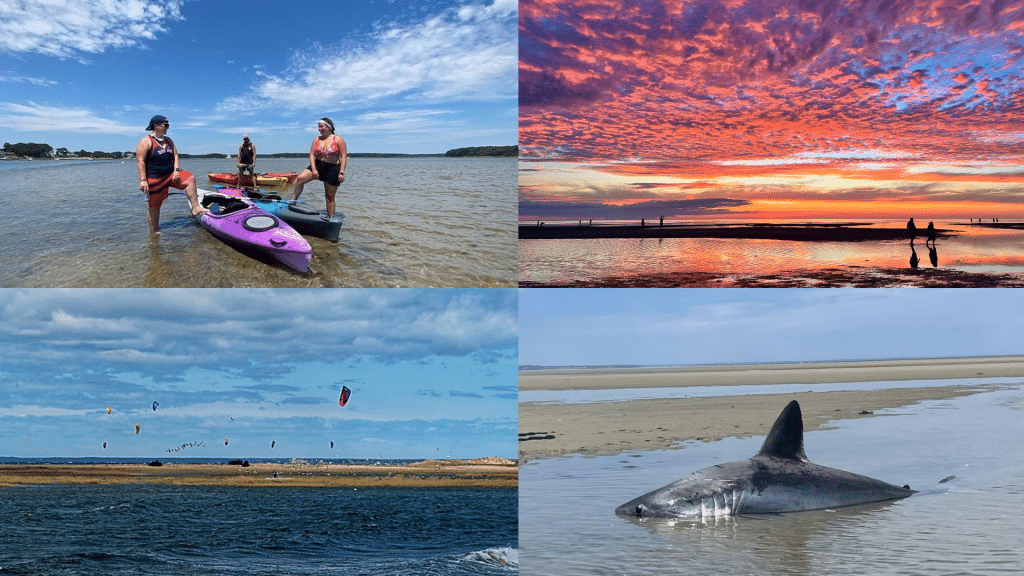 Why First Encounter Beach Should Be Your Next Stop? - Cape Guide