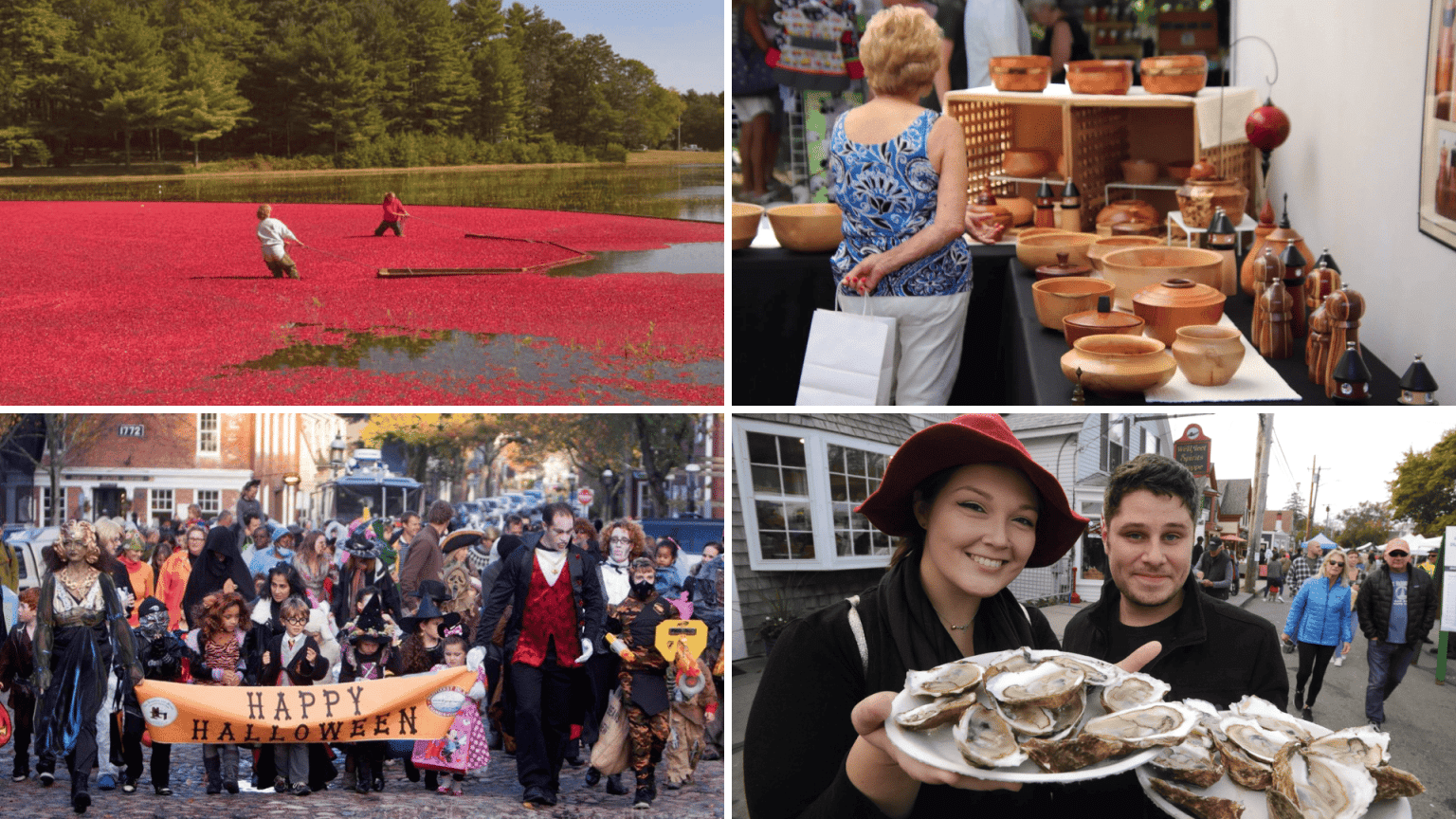 21 Amazing Things To Do in Cape Cod In the Fall - Cape Guide