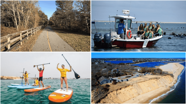 25 Best Things to Do in Chatham Cape Cod - Cape Guide