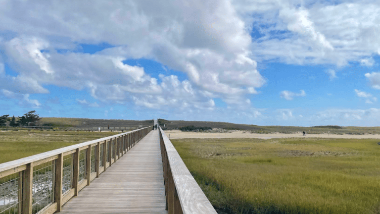 15 Top Attraction of Cape Cod that Makes It Famous - Cape Guide