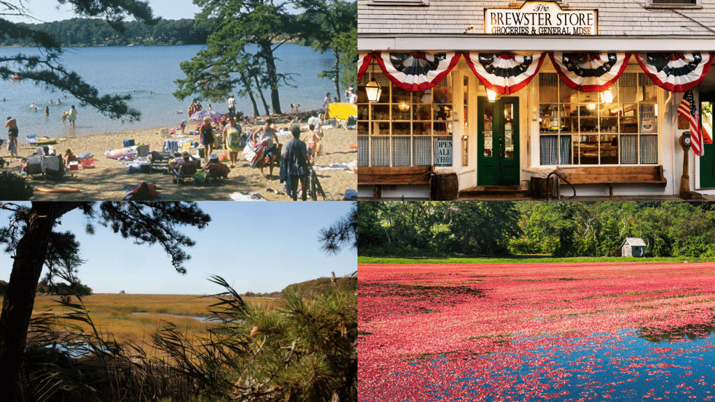 Everything You Need to Know About Cape Cod Rail Trail Map - Cape Guide