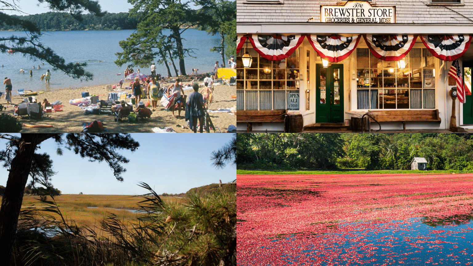 Everything You Need to Know About Cape Cod Rail Trail Map - Cape Guide
